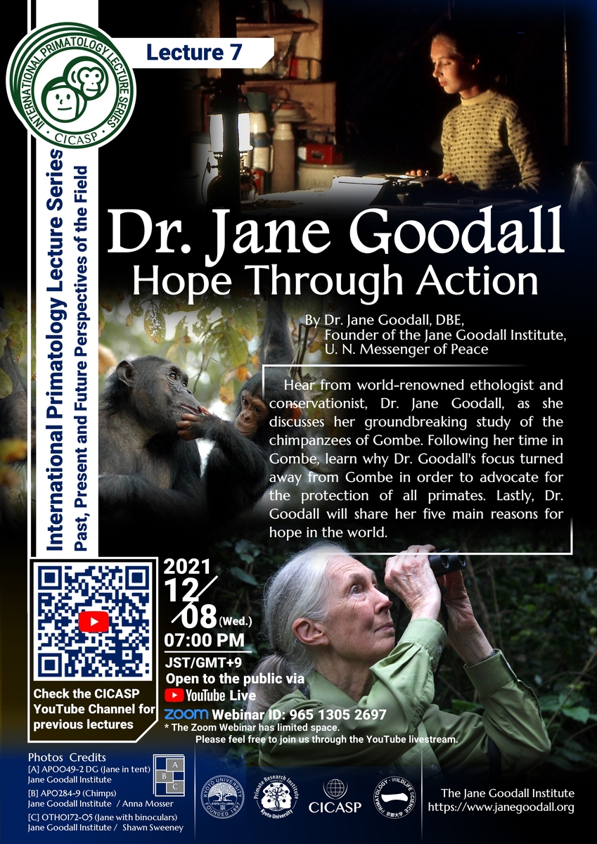 International Primatology Lecture Series | Dr. Jane Goodall | CICASP ...